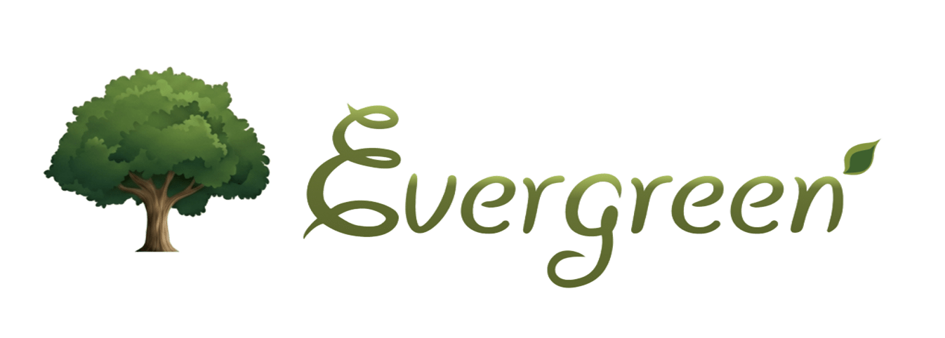 Evergreen | AI Software Development & Legacy Modernization Company